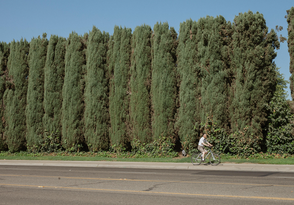 ORDINARY SACRAMENTO PHOTO GALLERY & BOOK RELEASE – Timeless Thrills