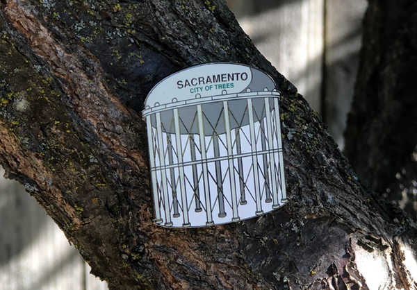 WATER TOWER LAPEL PINS – Timeless Thrills